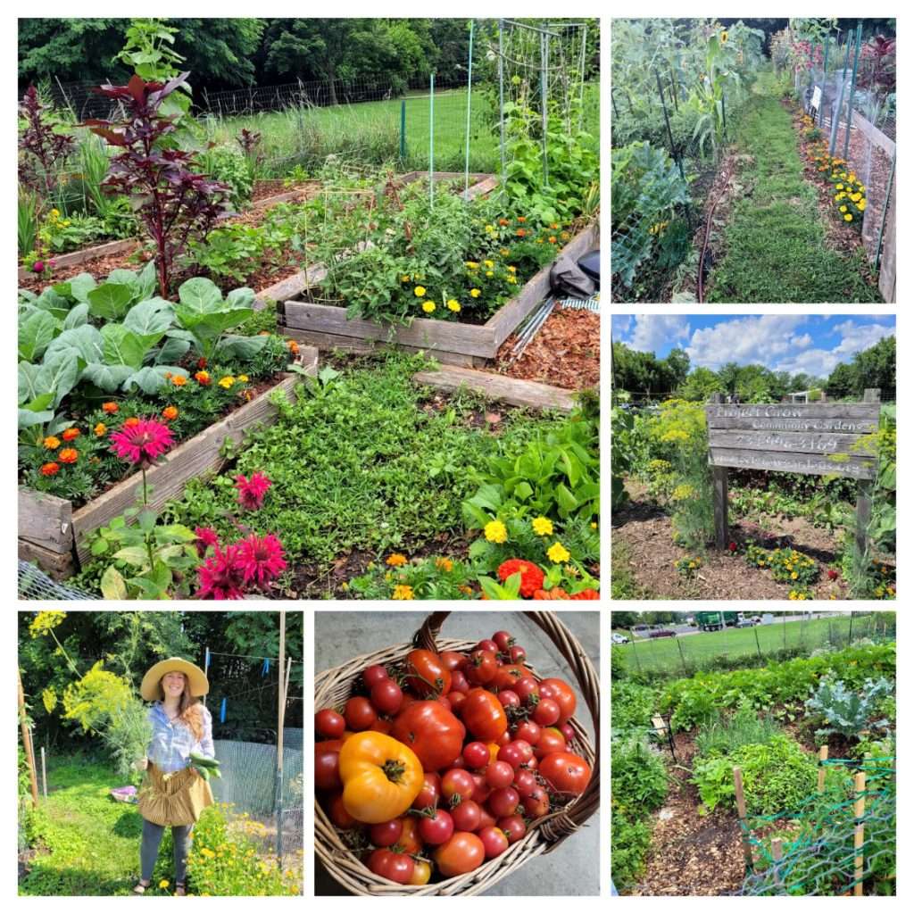 Project Grow Ann Arbor